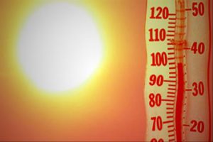 Warm Weather Woes - scottdonkin.com